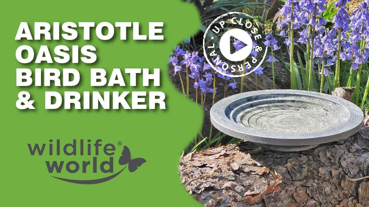 ARISTOTLE OASIS BIRD BATH + DRINKER VIDEO - YouTube