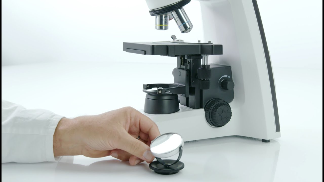 Microscope Mirror Microscope Mirror