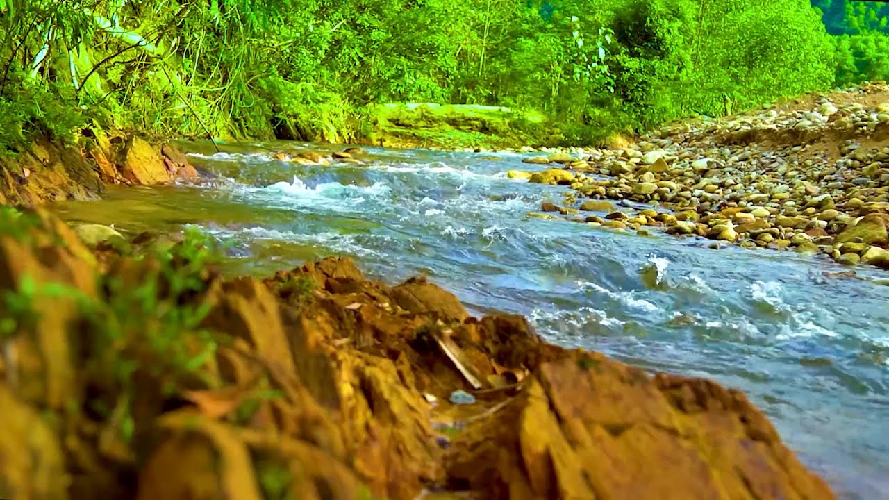 Gentle Stream Sounds -Relaxing Stream Sounds use for Relaxation, Sleep ...