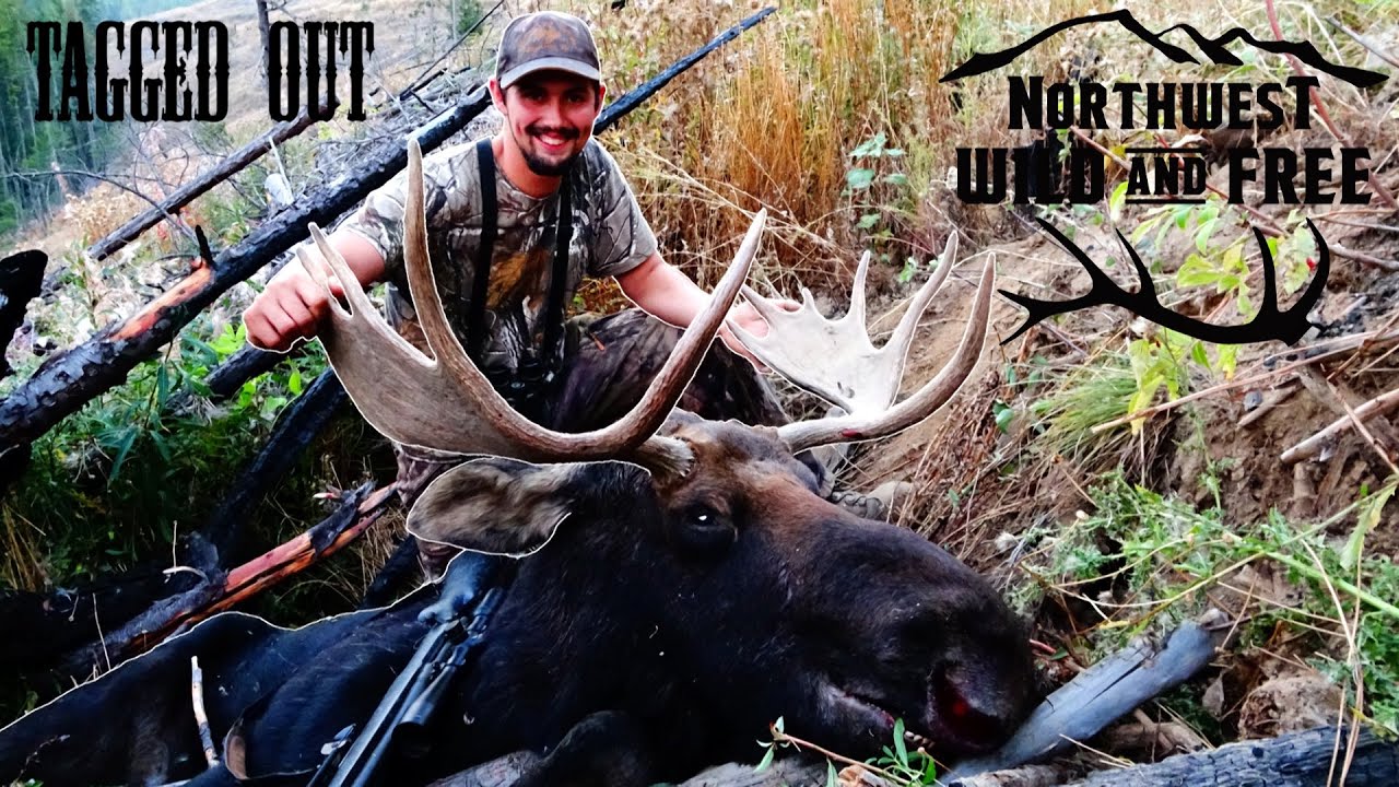 EPIC MOOSE HUNT! BULL DOWN!! Once-in-a-Lifetime Opportunity with ...