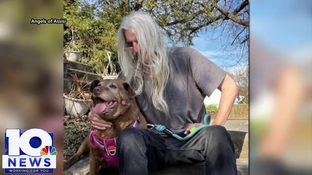 HEARTWARMING: Man experiencing homelessness reunited with dog after ...