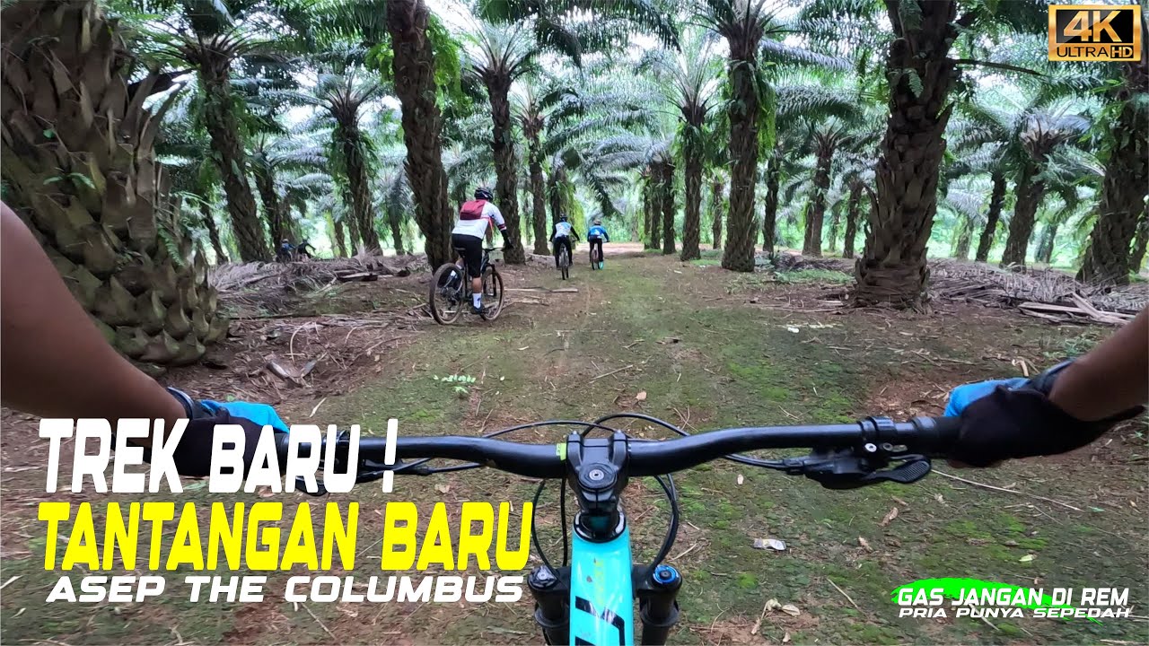 Ternyata ini dia Jalur Baru Tersembunyi di Trek Sawit! Petualangan MTB ...