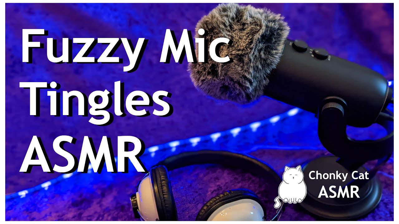 “Fuzzy Mic Tingles ASMR” (Headphones) (No Talking) - Chonky Cat ASMR ...