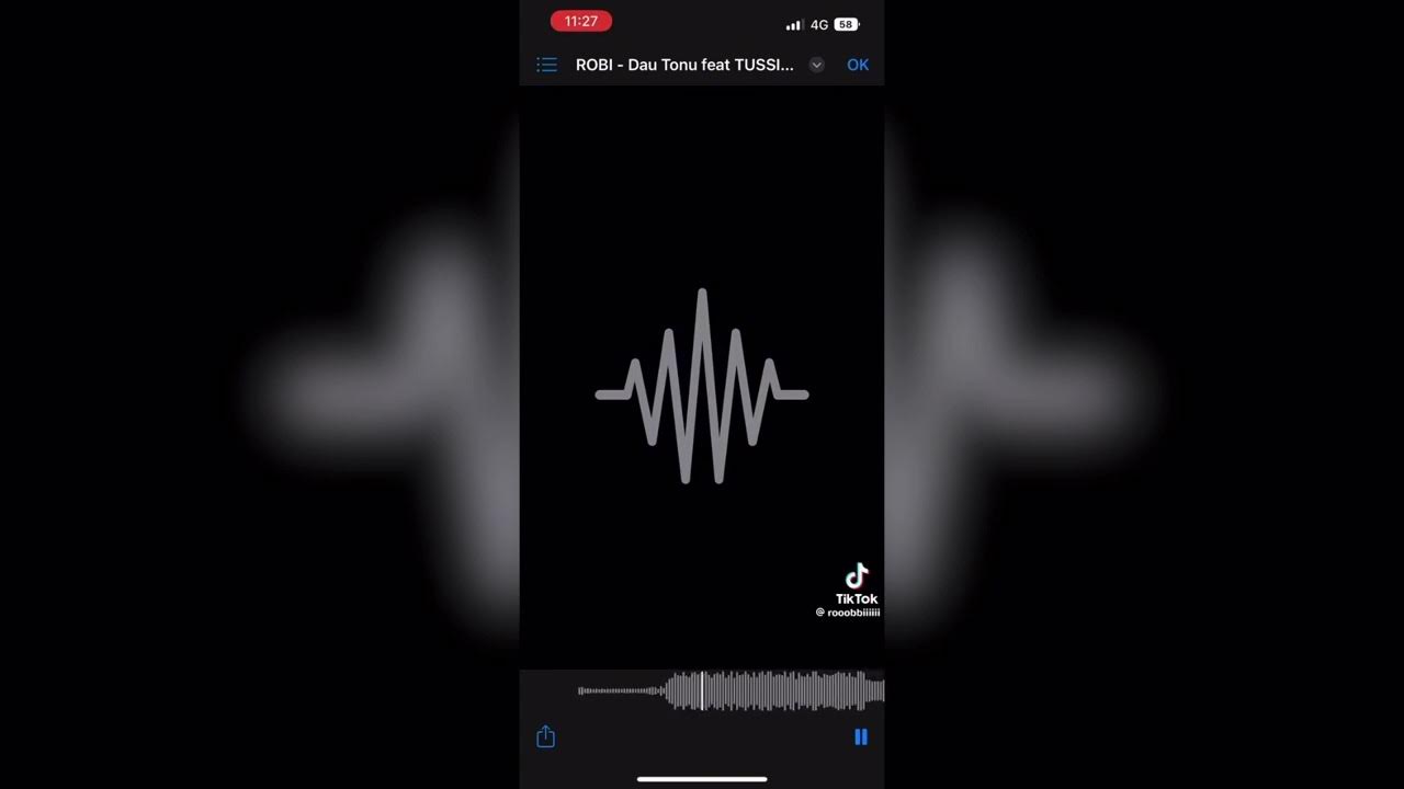 ROBI x TUSSIN x FLORIS - DAU TONU *snippet de pe album* - YouTube