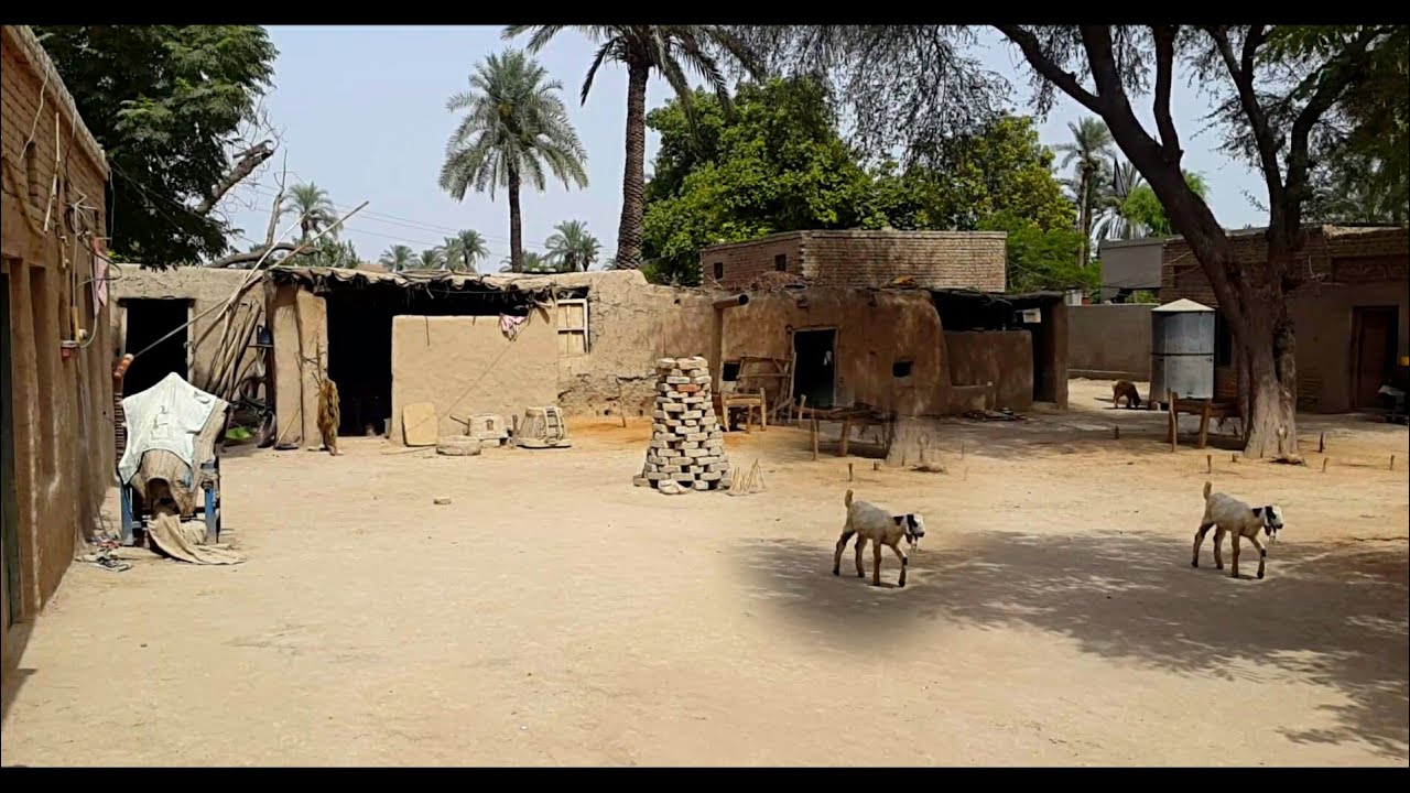 Pakistani Punjab (Pind) Natural Village Rural Life - YouTube