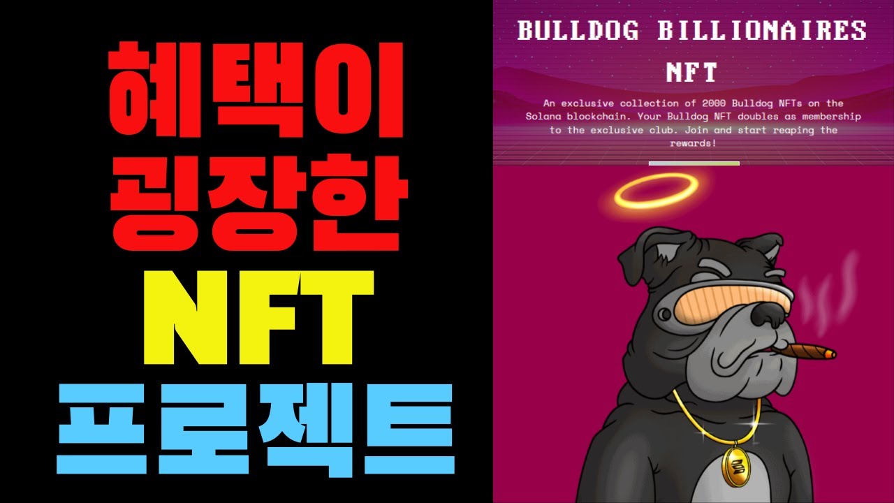 혜택이 굉장한 NFT 프로젝트 BULLDOG BILLIONAIRES - YouTube