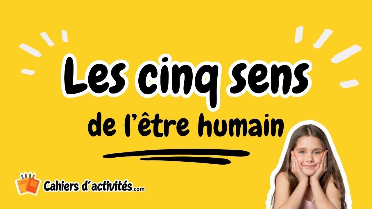 Les cinq sens de l’être humain : découvrez leurs fonctions essentielles ...