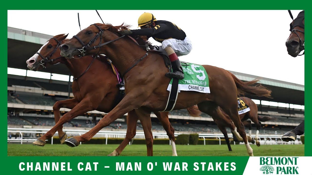 Channel Cat - 2021 - The Man O'War - YouTube