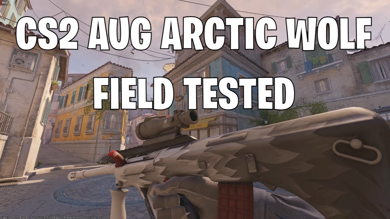 AUG Arctic Wolf | CS2 SKIN SHOWCASE #32 - YouTube