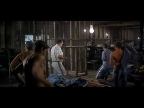 Cool Hand Luke- Spend a night in the Box - YouTube