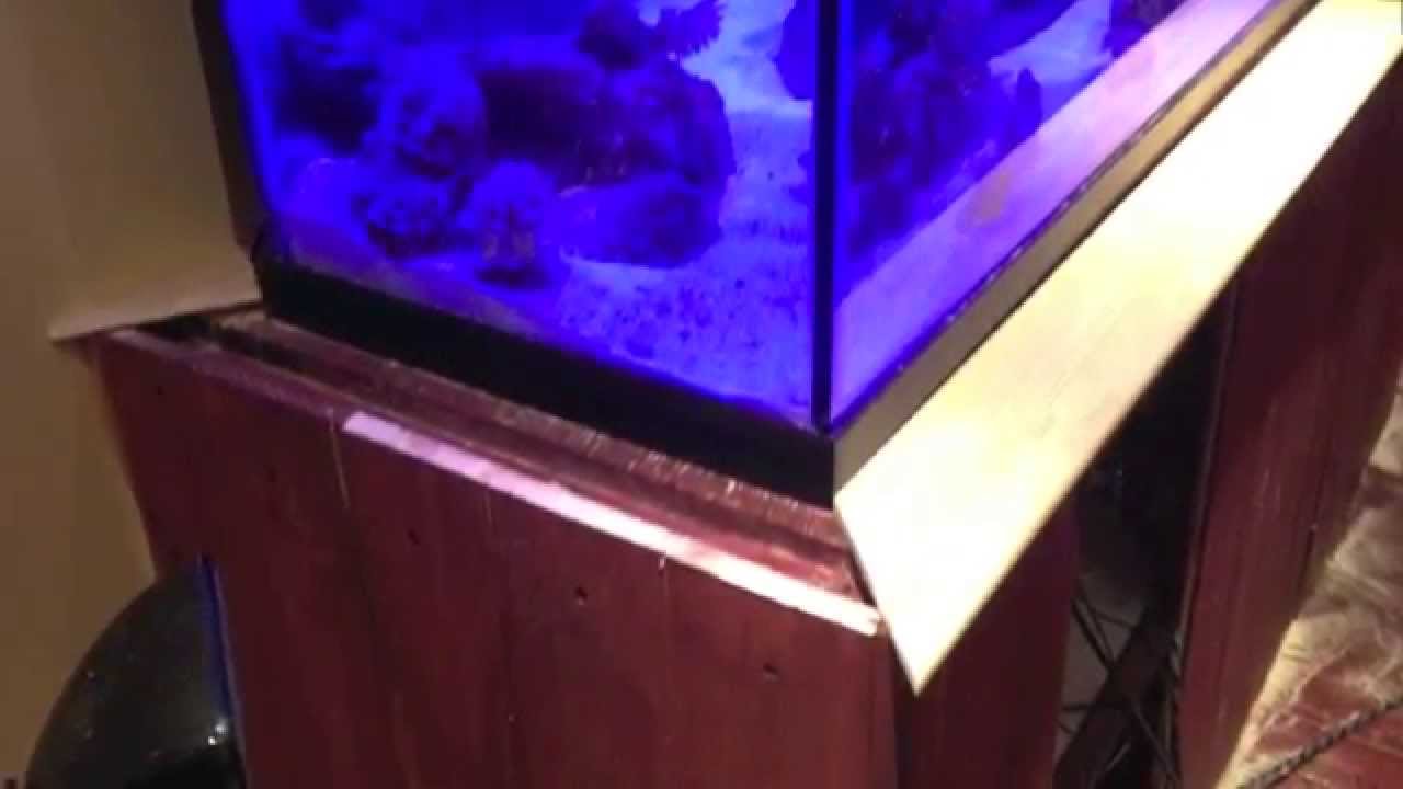 DIY Aquarium Stand with 100" Projector - YouTube