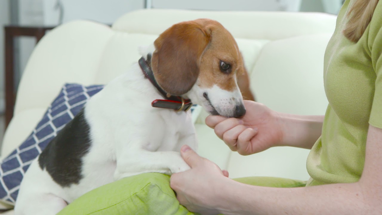 The Original Broombi (aka 3Jalbi) for household cleaning, patented ...