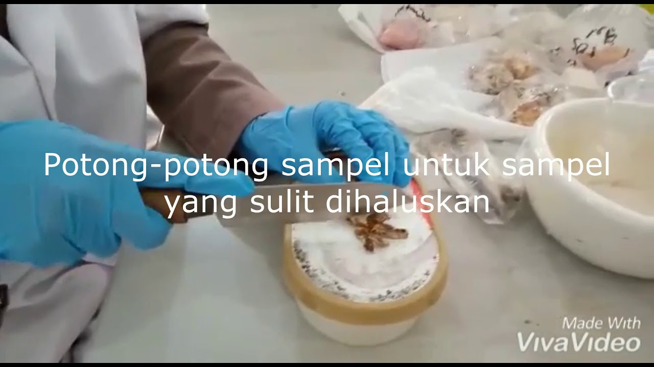 Uji Formalin Pada makanan (Tutorial Prosedur Analisis) - YouTube
