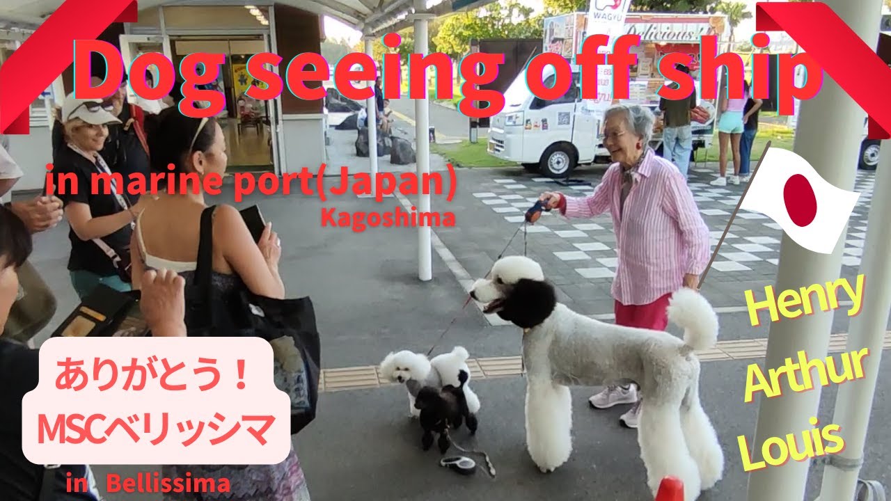【Dog seeing off ship】MSCベリッシマを見送るヘンリー＆アーサー＆ルイに密着！The Marine Port ...