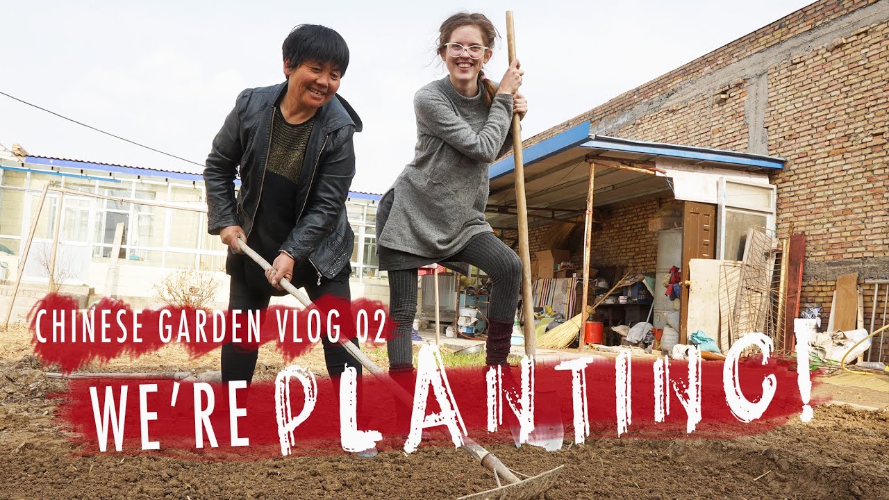 Growing Veggies in Rural China: Our Chinese Garden VLOG 02 - YouTube