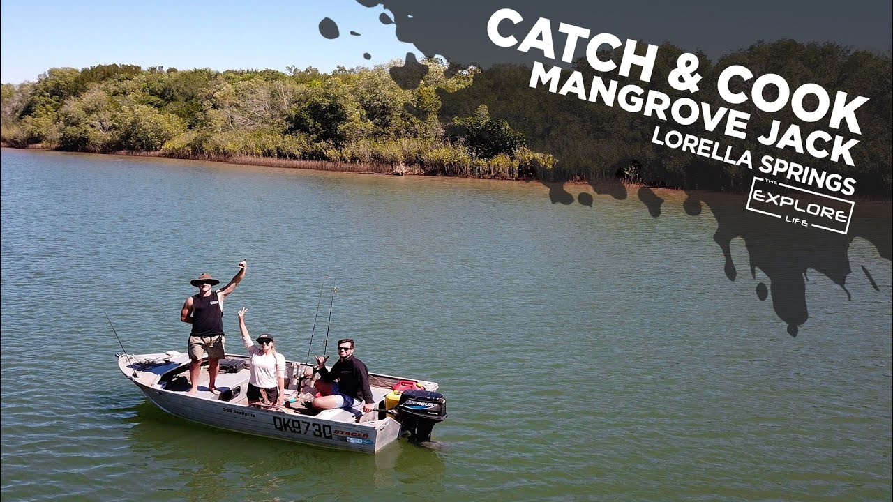 CATCH & COOK ! BARRA, COD AND FRESH MANGROVE JACK FOR LUNCH- MATT'S ...