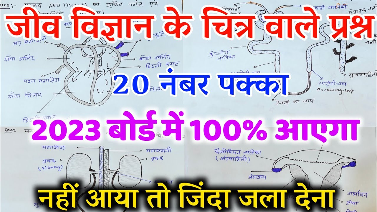 Biology class 10 important questions 2023 up board | Board Exam 2023 ...