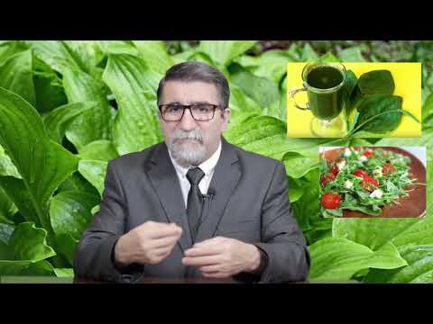 Sinirli Ot/Sinirli Yaprak/Damar otu Faydaları nasıl kullnılır?