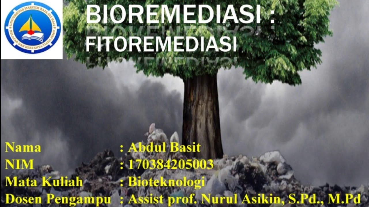 Video Pembelajaran Bioteknologi Remediasi : sub materi Fitoremediasi ...