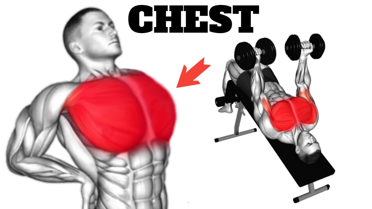 Great Exercises to Activate Growth CHEST muscle faster || - YouTube