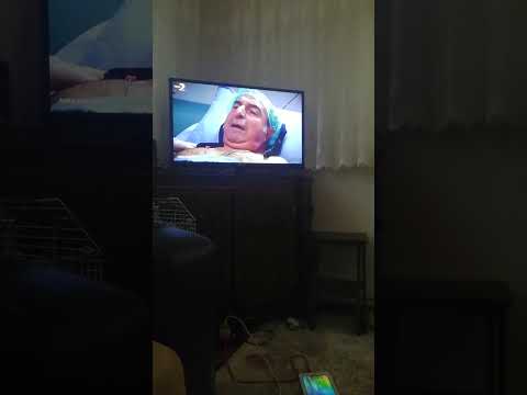 Rıza Baba uyandı Ekip ve Ailesi çok mutlu Arka Sokaklar 11. Yeni Sezon 409. Bölüm shorts videosu