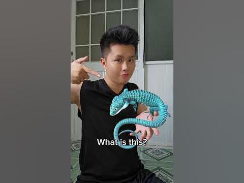 What is this? (P70) - YouTube