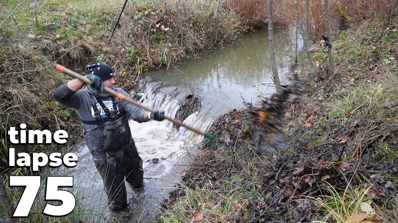 Manual Beaver Dam Removal No.75 - Time-Lapse Version - YouTube