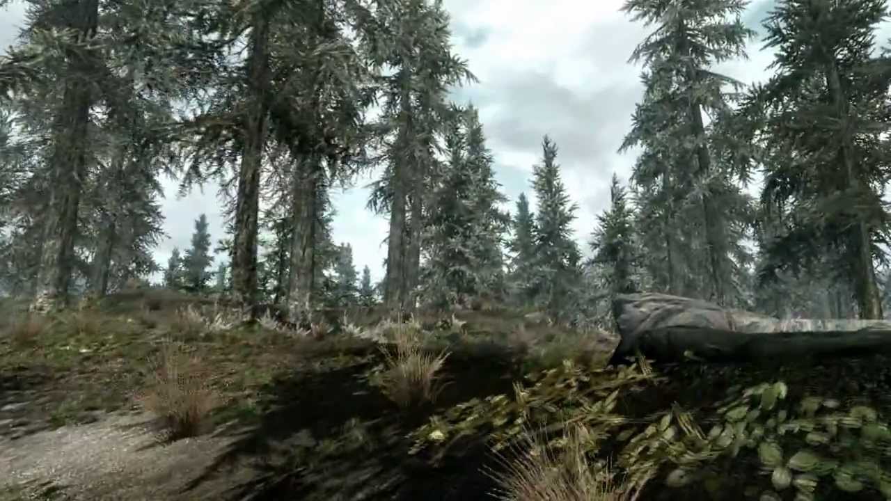 Skyrim Ultra High Graphics [HD] - YouTube