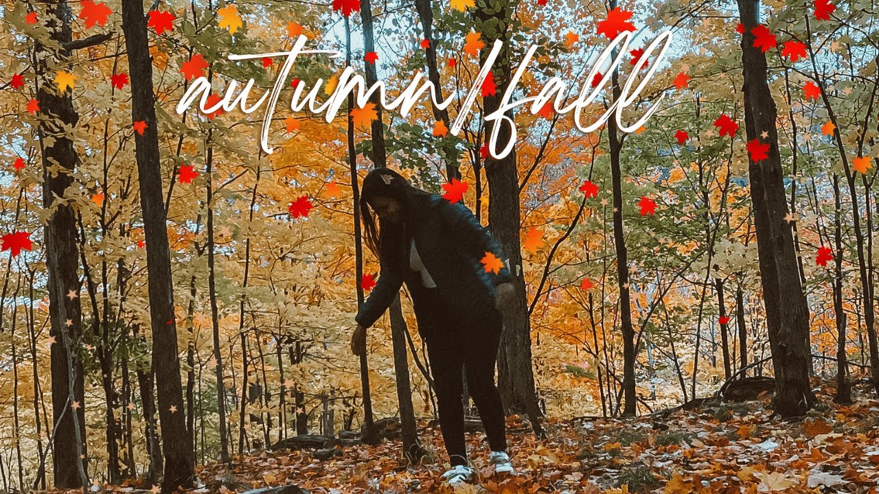 First Fall 🍁 in canada | Fall Season 🍁🍂 | Fall Vlog 🇨🇦 - YouTube