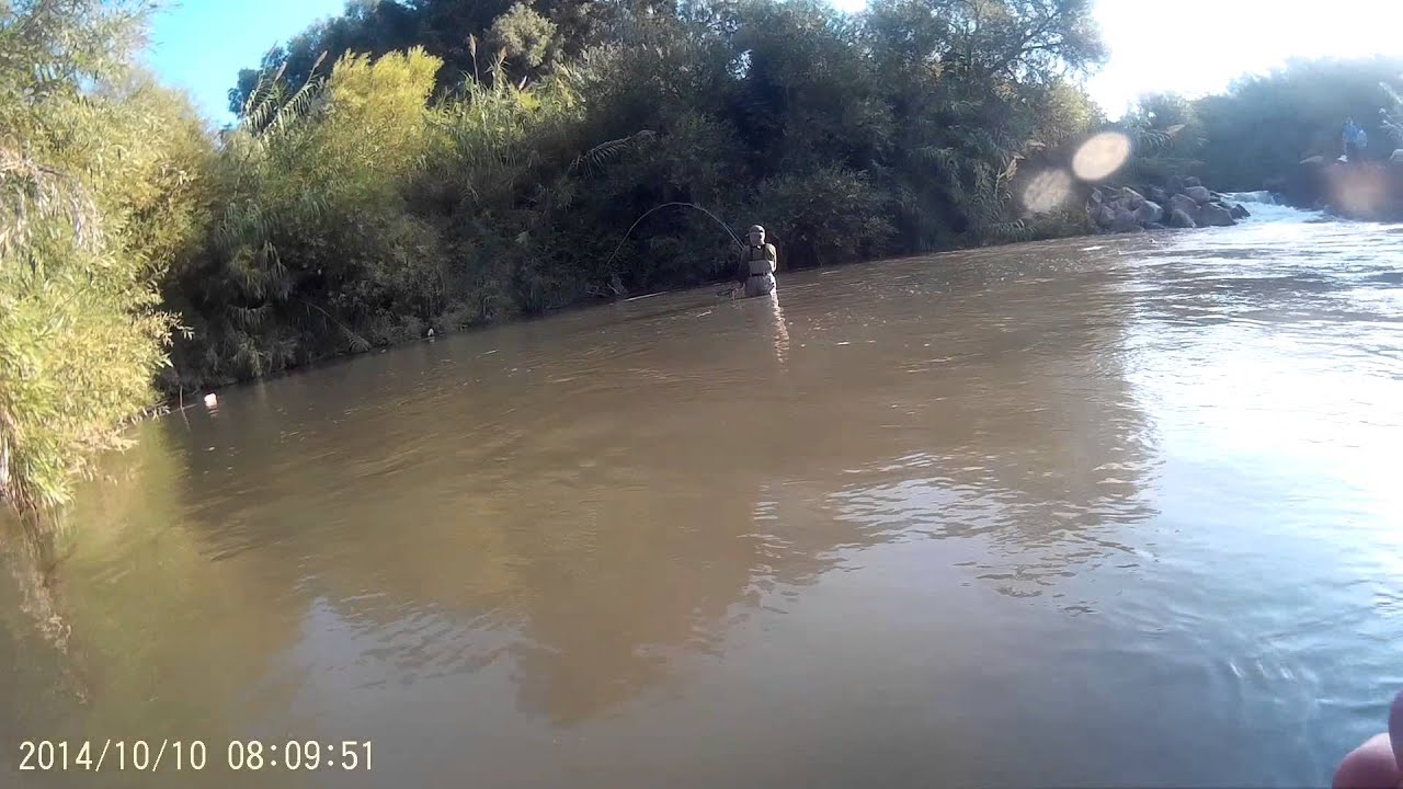 fly fishing israel - YouTube