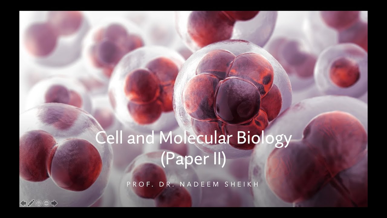 Topic 6 Transcription in Prokaryotes - YouTube