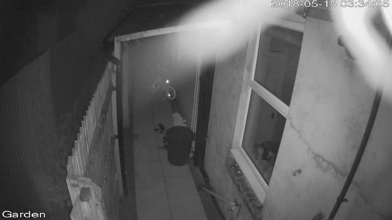 WEREWOLF FOUND IN EUROPE! (camera footage) *DONT WATCH AT NIGHT* - YouTube