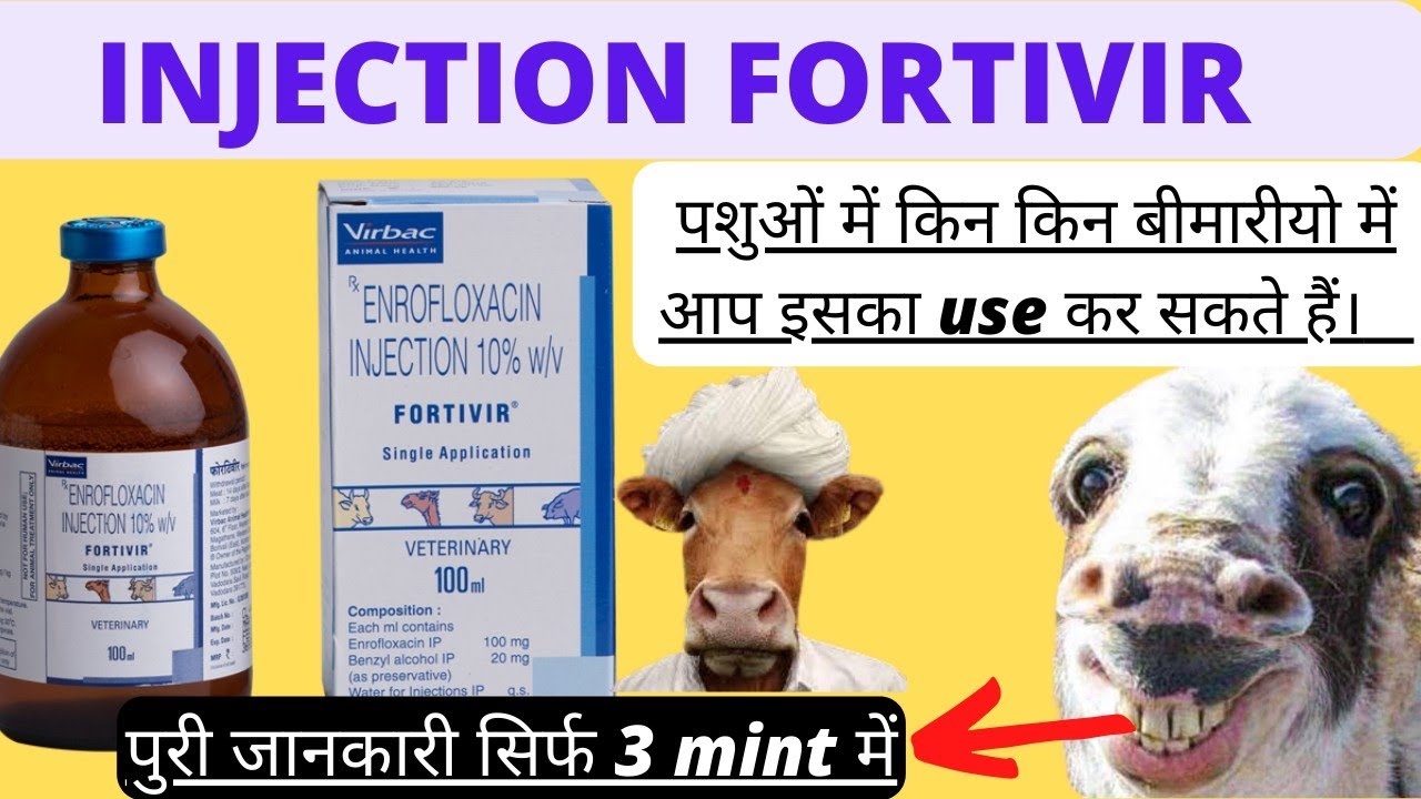 fortivir injection | injection enrofloxacin | fortivir injection uses ...