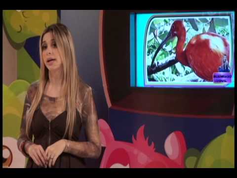 Danny Pink Batidores (Curiosidade Animal)