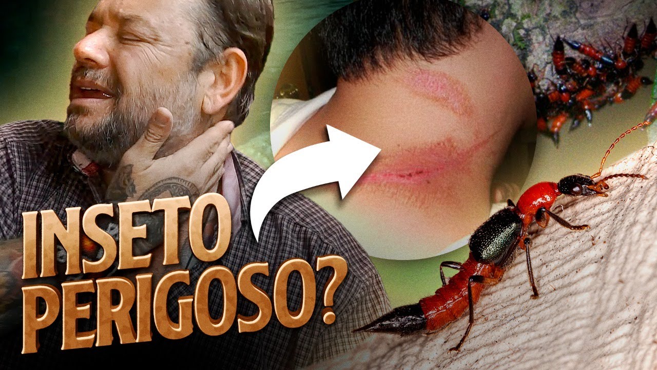 O INSETO MAIS TEMIDO DA AMAZÔNIA! | RICHARD RASMUSSEN - YouTube