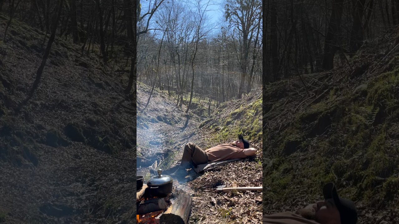 Sleeping under the light and energy of the sun in nature with the ...