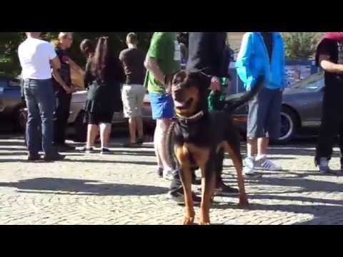Mustang Riders Club - Vyškov 28.9.2014