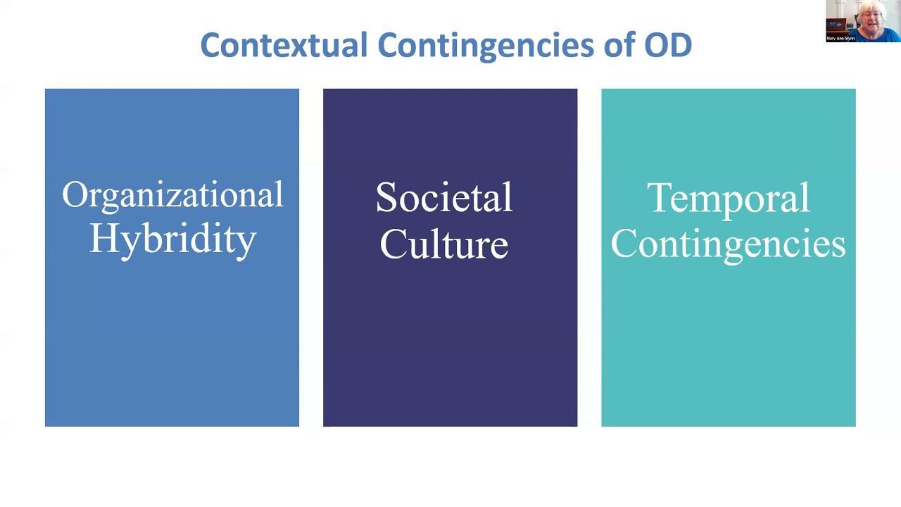 AOM 2021 PDW on Optimal Distinctiveness - YouTube