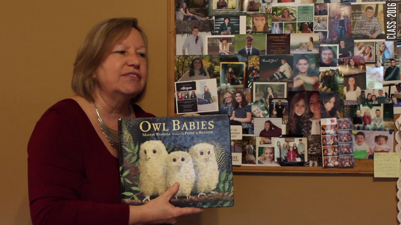 Story Time-Owl Babies written by Martin Waddell illustrated by Patrick ...