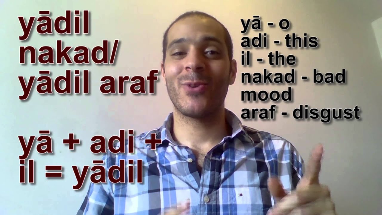 Spoken Arabic Lesson 3 Yes No Let s Go featuring Music By Dalida spoken-arabic-lesson-3-yes-no-let-s-go-featuring-music-by-dalida