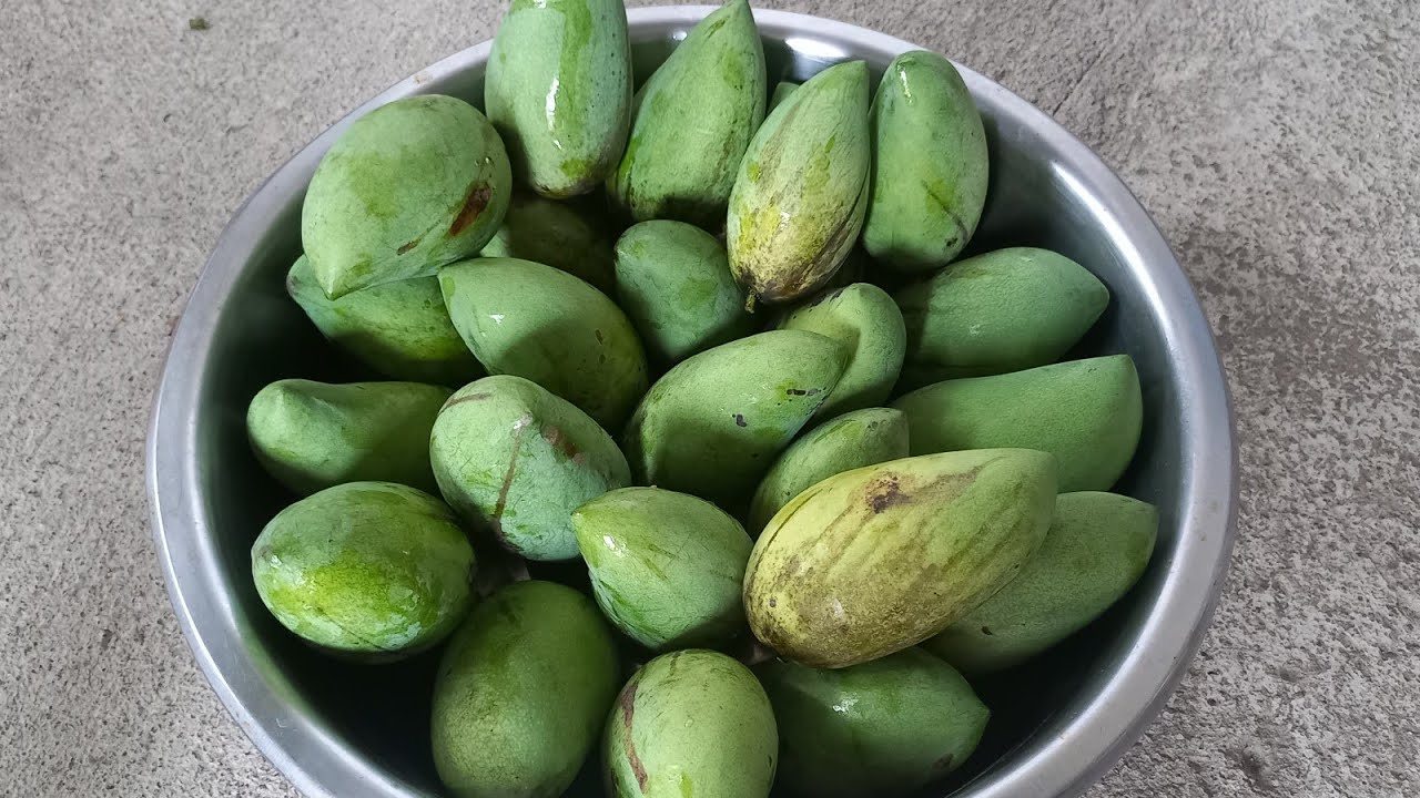 Kumuha ng Manggang Kalabaw para pahinogin#mango - YouTube