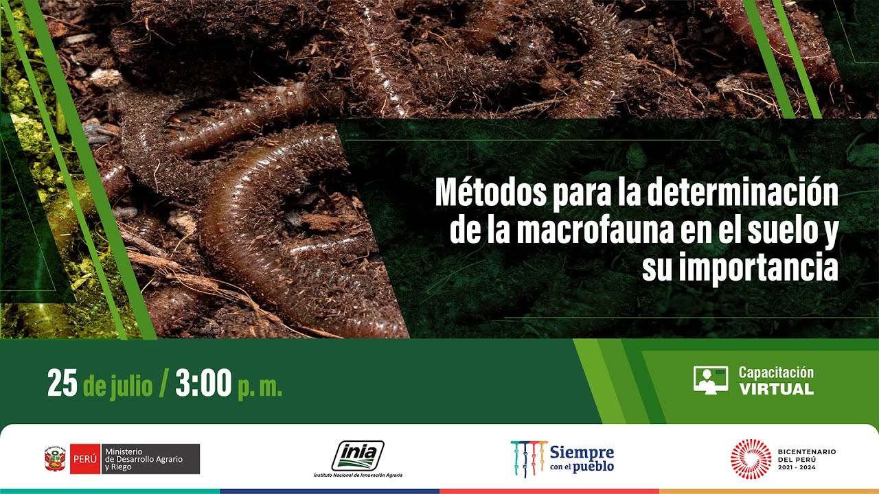 Métodos para la determinación de la macrofauna en el suelo y su ...