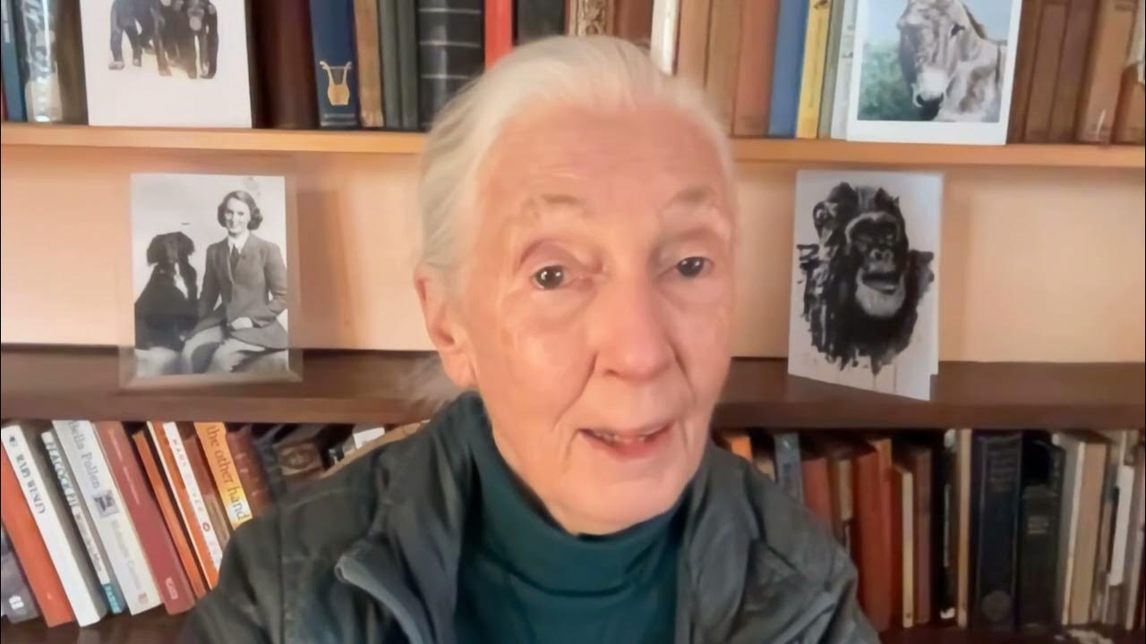 Dr. Jane Goodall Intro Video - The Humanity Channel - YouTube