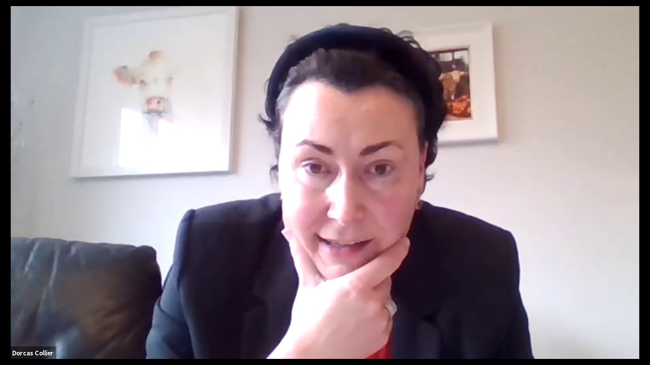 Synod 2020, Diocesan Review Commission - YouTube