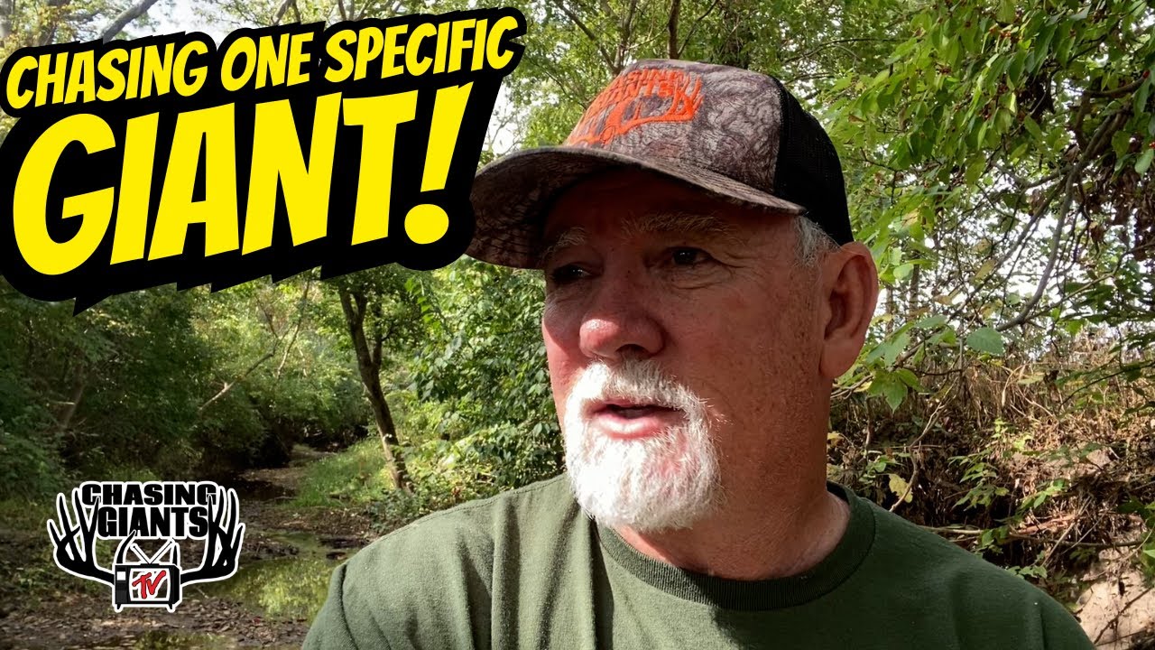 October Whitetail Strategy: Setting the Trap for a Permission Farm ...