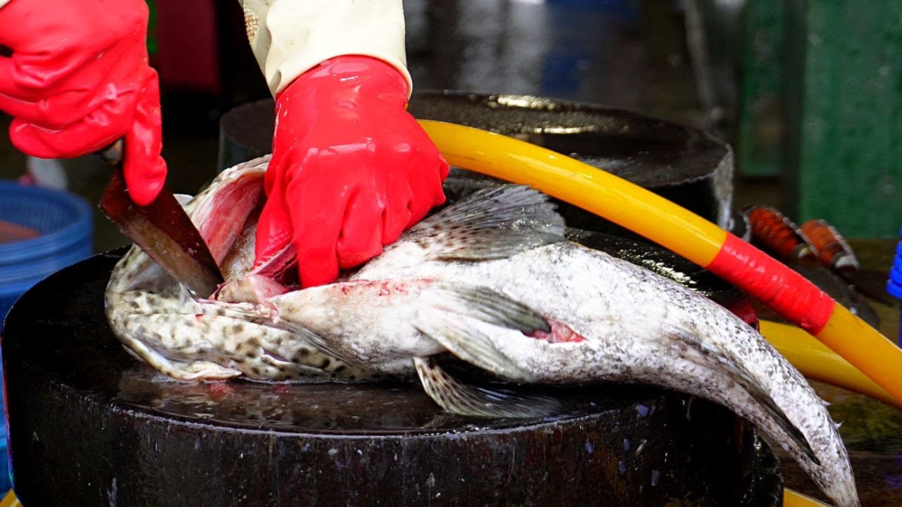 Fresh and Delicious Grouper Cutting - Taiwan Traditional Fishing Market ...