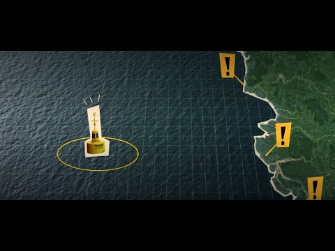 How do National Meteorological and Hydrological Services and WMO ...