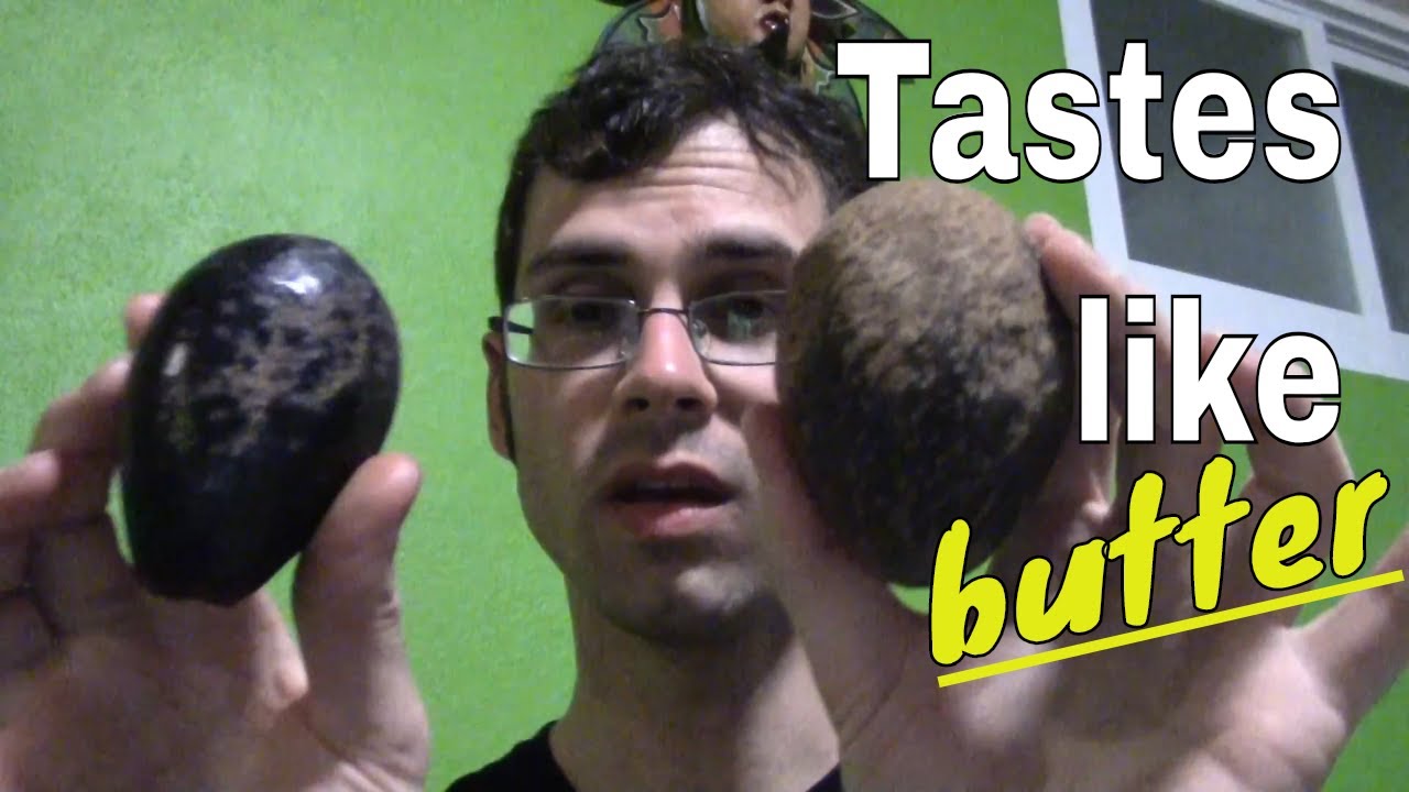 Mexican Avocados taste like butter! - Weird Fruit Explorer Ep. 289 ...
