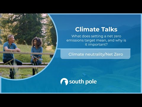 SP Climate Talks: What does setting a net zero emission target mean and ...