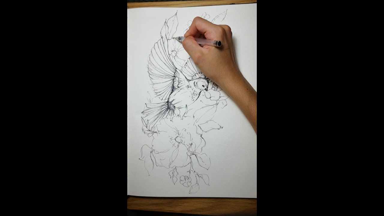 FAST DRAWING OF A BIRD (TATTOO INSPIRATION) - YouTube